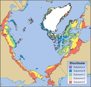 Arctic Geobotanical Atlas - CAVM