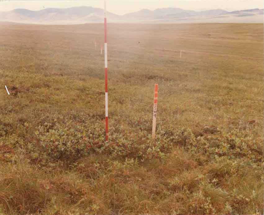 Imnavait Creek Permanent Vegetation Plots - General Photo Enlargement ...